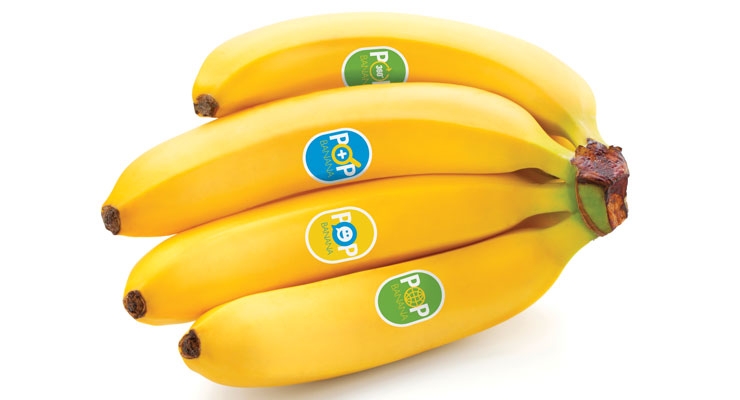 FOOD-SAFE LABELS - Label and Narrow Web